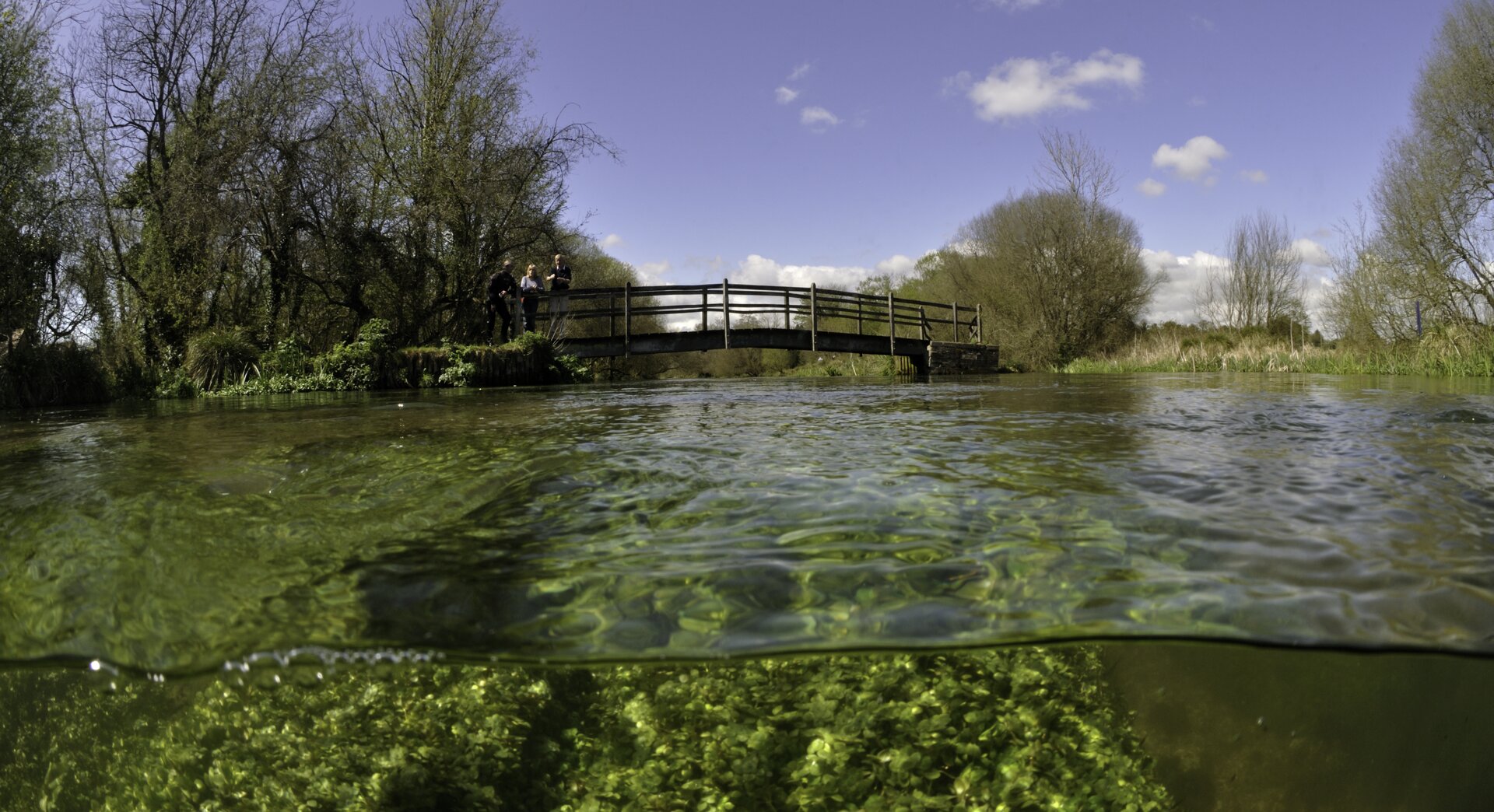 falseSplit level view of the River Itchen, with aquatic plants: Blunt ...