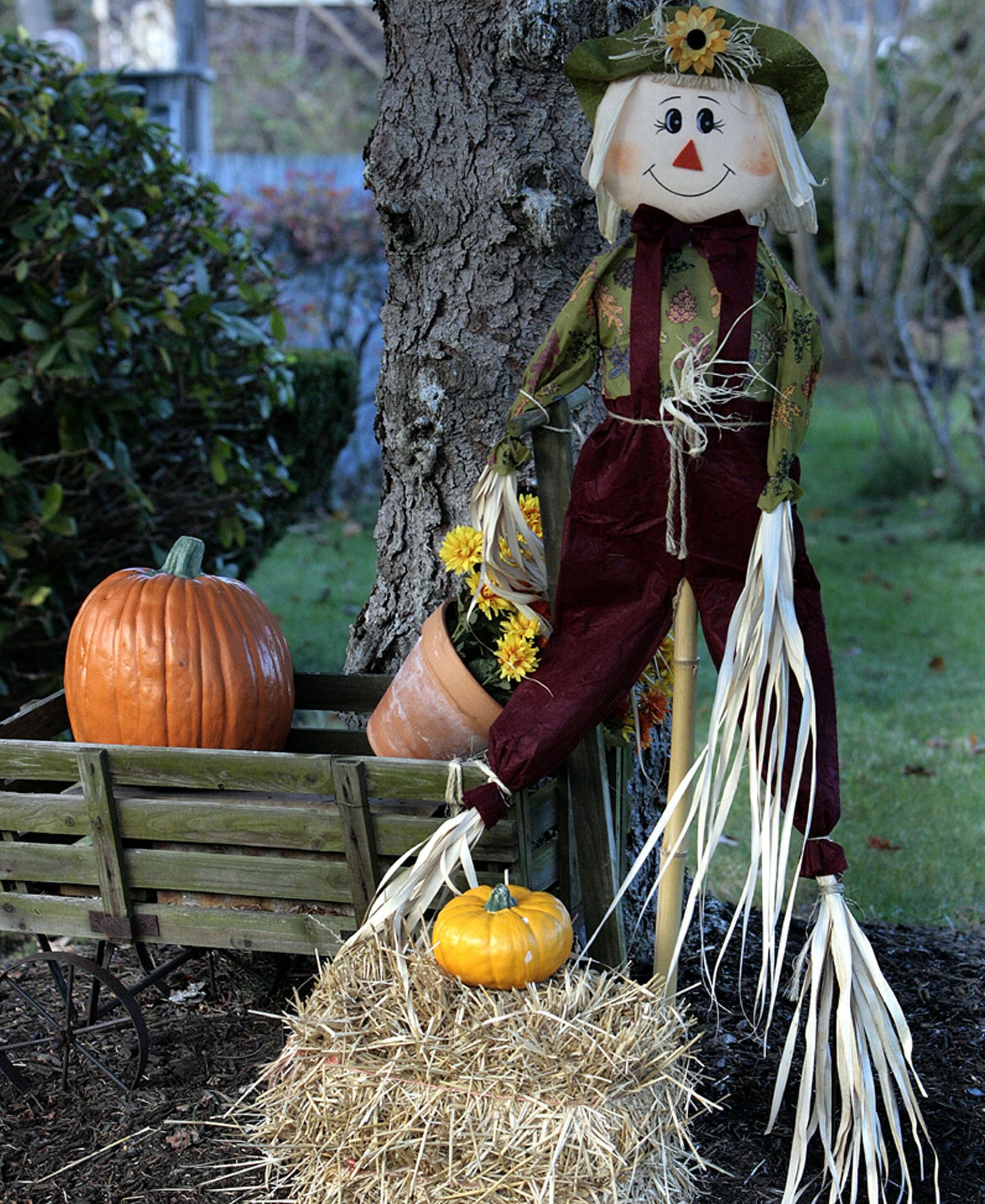 Scarecrow Trail Picture | Warwickshire Wildlife Trust