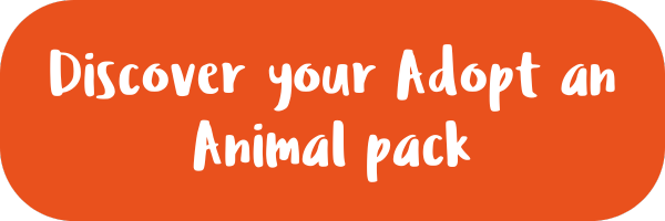 discover-your-adopt-an-animal-pack | Warwickshire Wildlife Trust