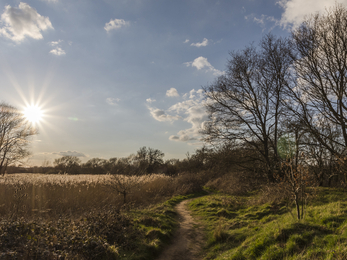 Brandon Marsh | Warwickshire Wildlife Trust