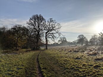 The Sherbourne Valley Project | Warwickshire Wildlife Trust