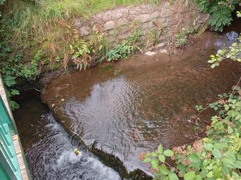 Lake View Park Weir Mitigation | Warwickshire Wildlife Trust