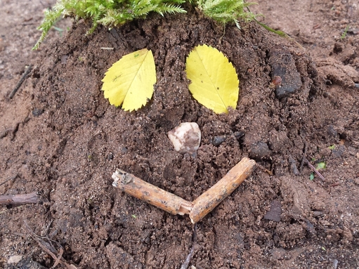 Education team volunteers | Warwickshire Wildlife Trust