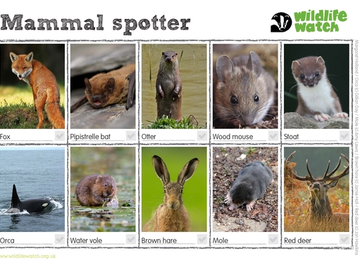 Creature Count | Warwickshire Wildlife Trust