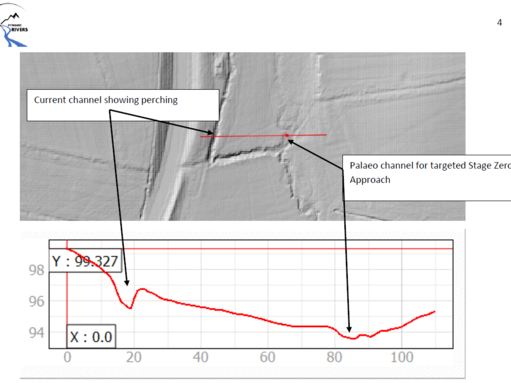 Coundon Wedge Stage Zero River Restoration | Warwickshire Wildlife Trust