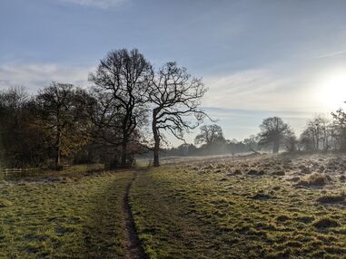 The Sherbourne Valley Project | Warwickshire Wildlife Trust