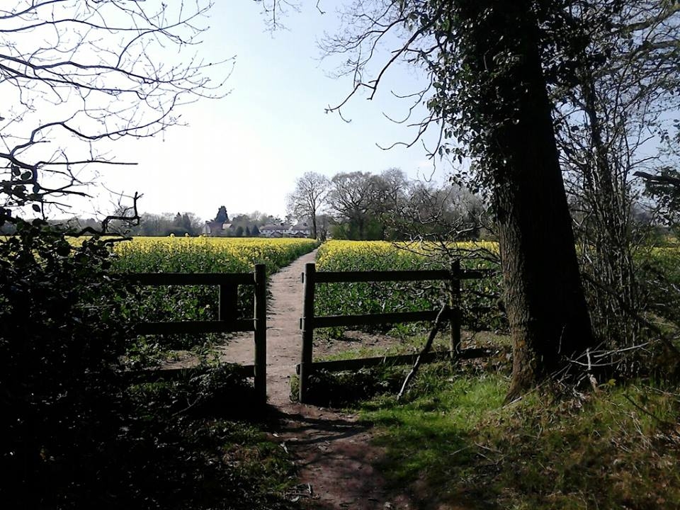 Clowes Wood & New Fallings Coppice | Warwickshire Wildlife Trust