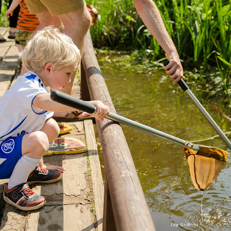 Holiday Events | Warwickshire Wildlife Trust