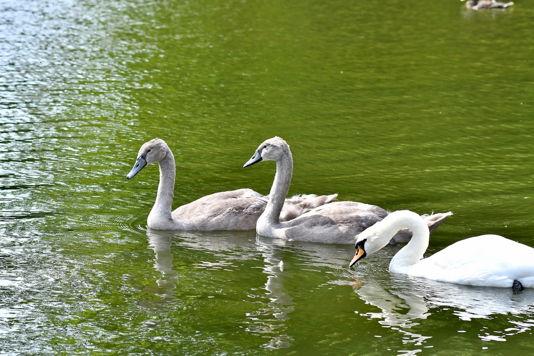 New gallery of wildlife photos | Warwickshire Wildlife Trust