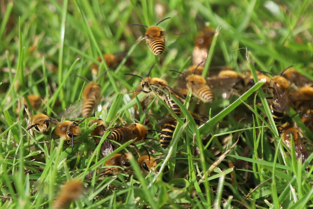 Photo competition - Nature's Recovery | Warwickshire Wildlife Trust