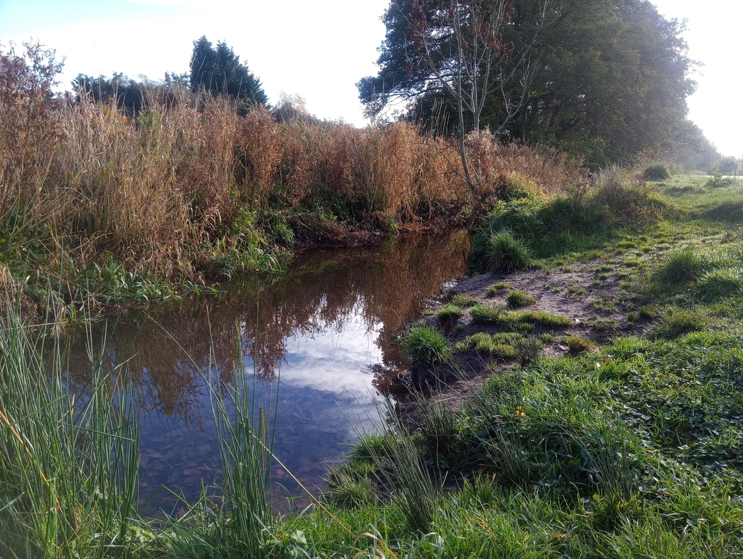 The Sherbourne Valley Project | Warwickshire Wildlife Trust