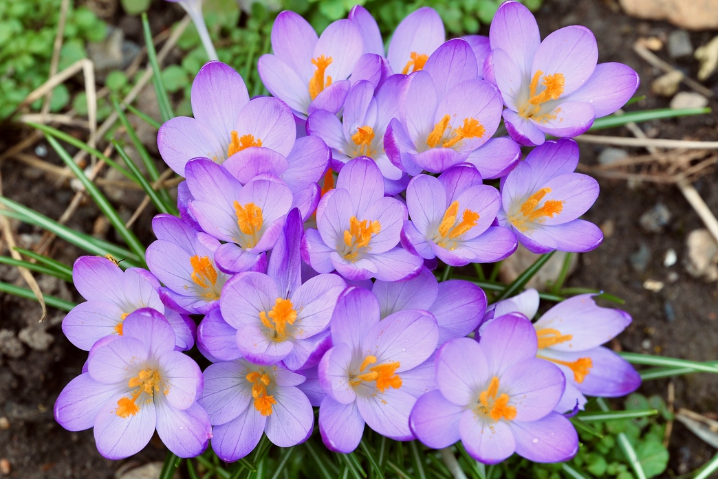 New Wildlife Gallery | Warwickshire Wildlife Trust