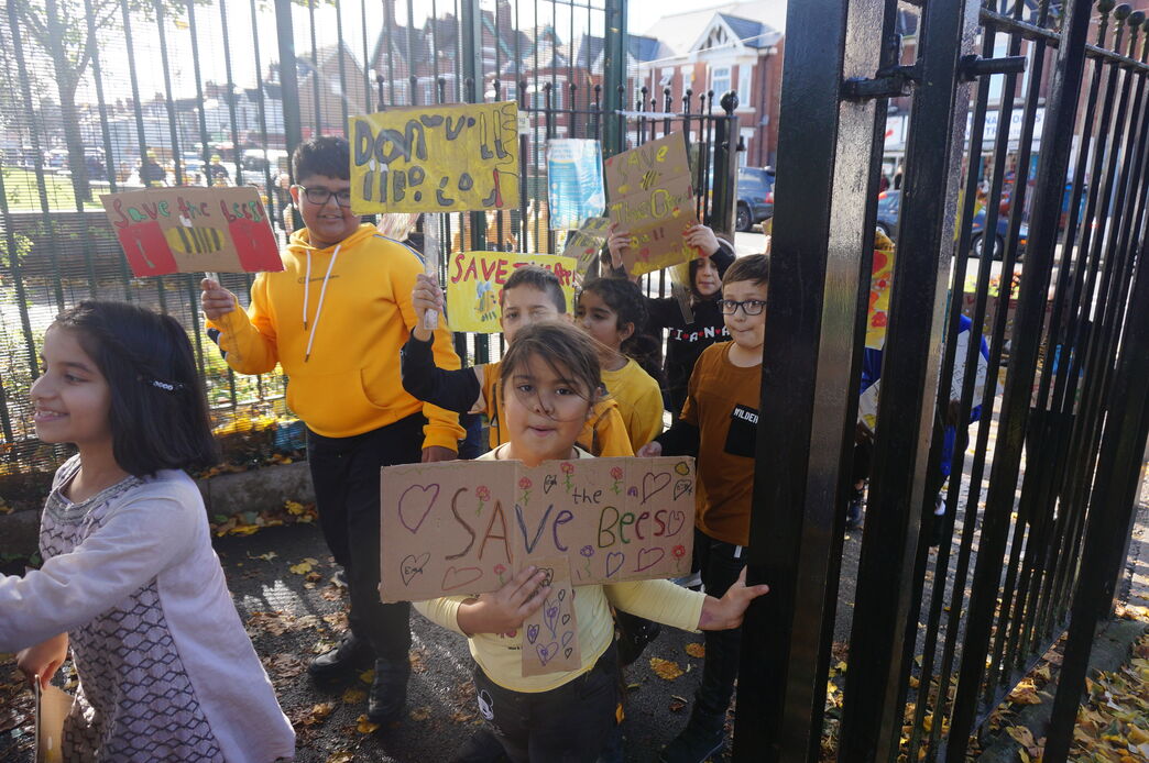 Year 4 Pupils Say 'Save Our Bees!' | Warwickshire Wildlife Trust
