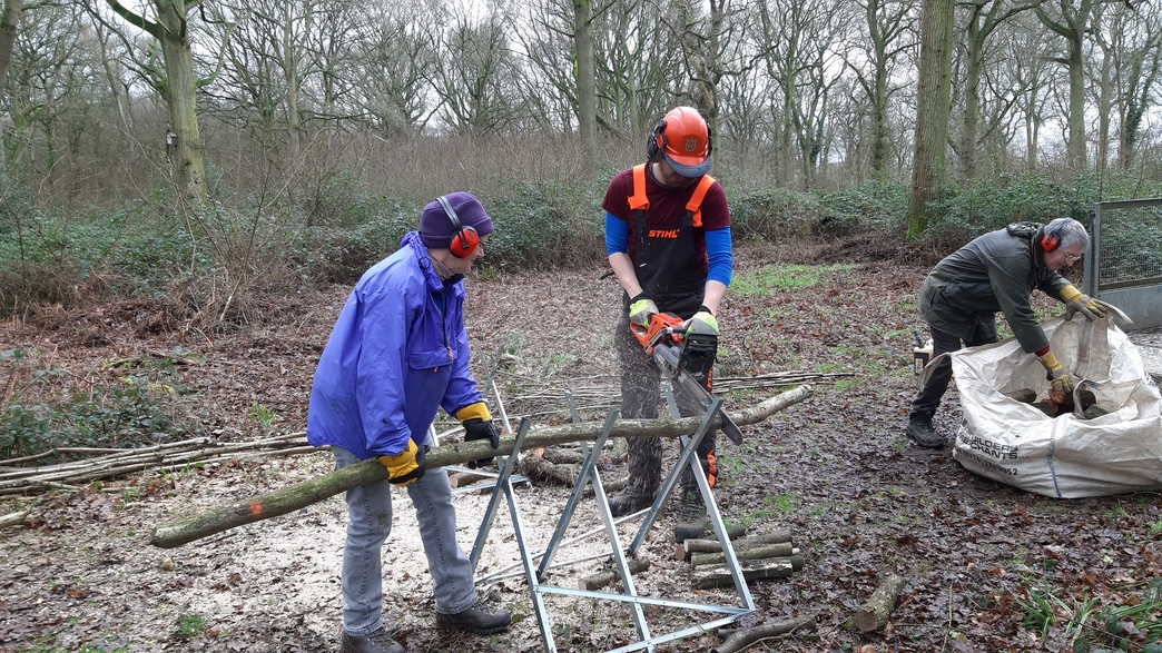 What happens during woodland management and where does the timber go ...