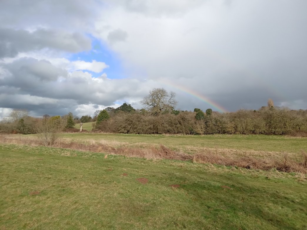 Coundon Wedge Stage Zero River Restoration | Warwickshire Wildlife Trust