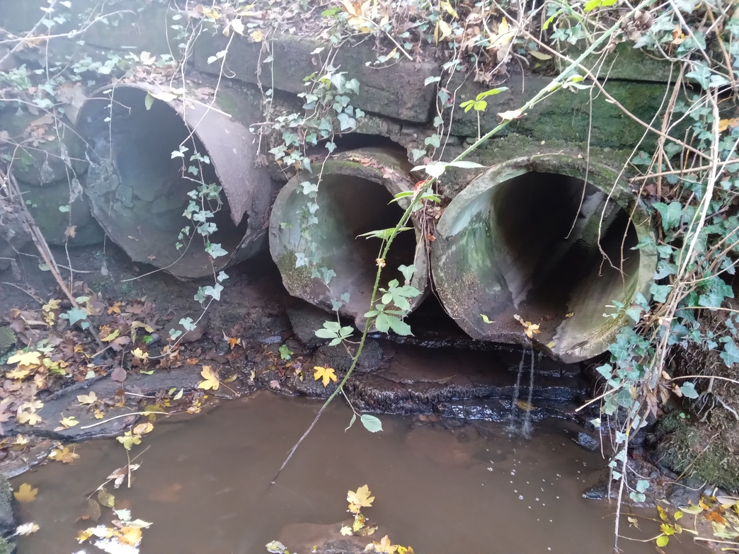 Coundon Wedge Stage Zero River Restoration | Warwickshire Wildlife Trust