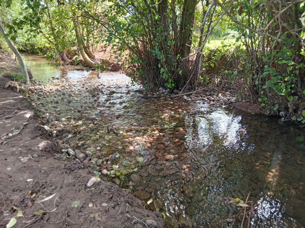 Lake View Park Weir Mitigation | Warwickshire Wildlife Trust