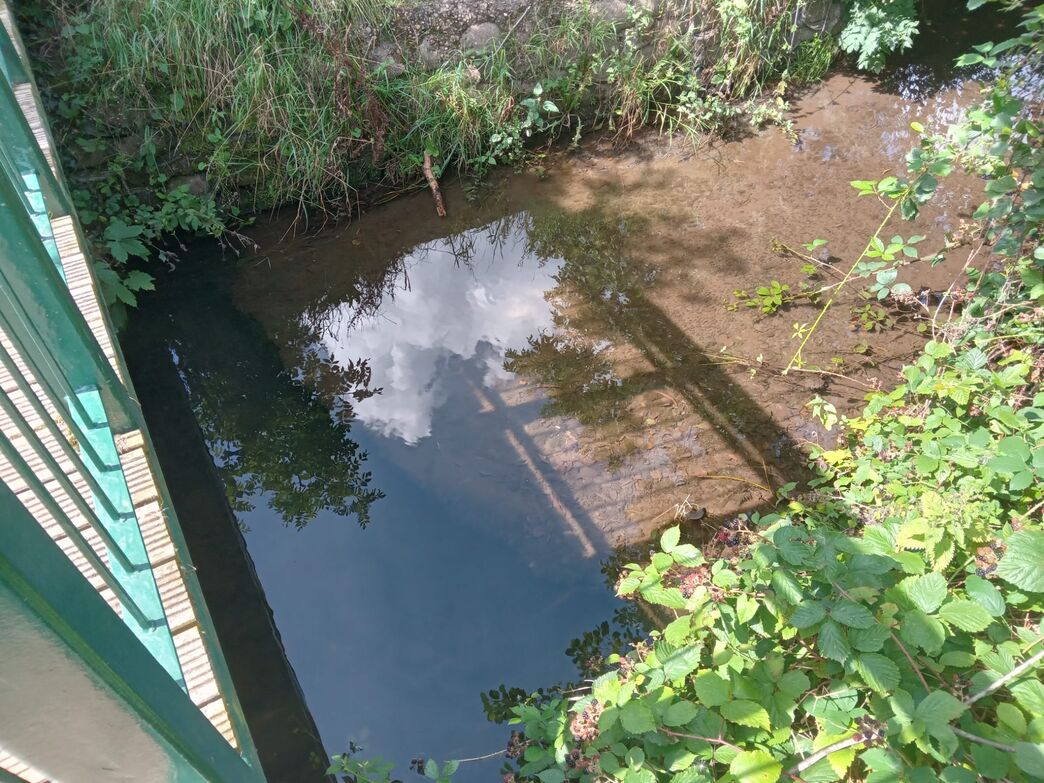 Lake View Park Weir Mitigation | Warwickshire Wildlife Trust