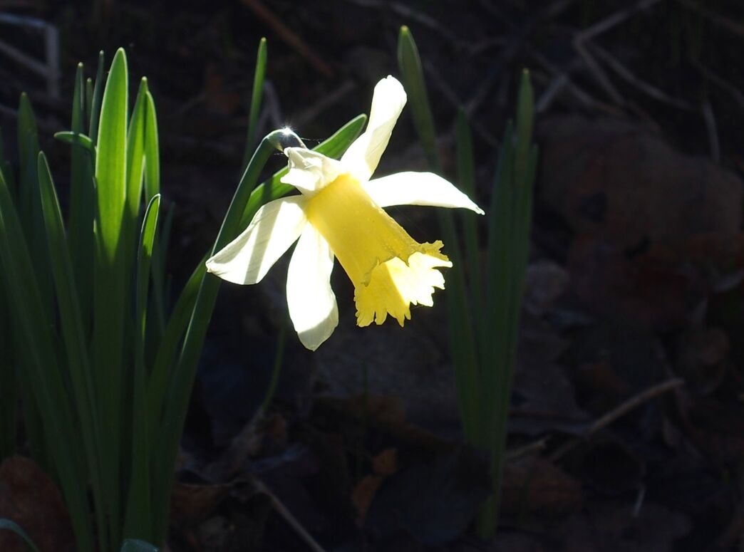 February wildlife gallery | Warwickshire Wildlife Trust
