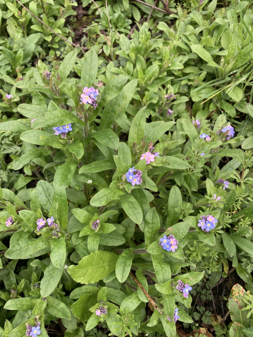 April wildlife gallery | Warwickshire Wildlife Trust