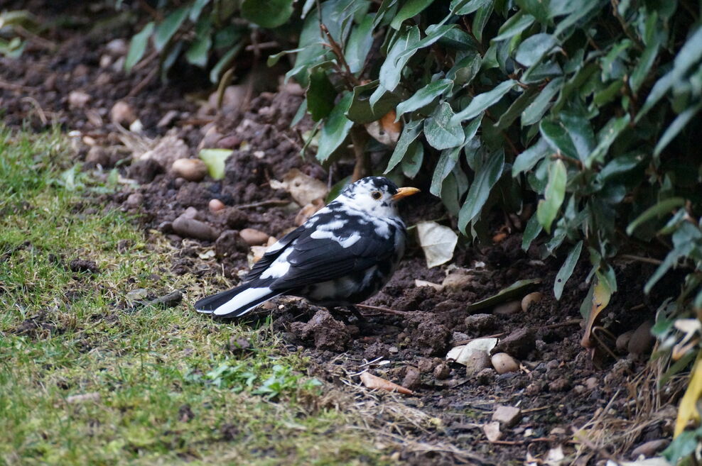 Reader's Photo Gallery | Warwickshire Wildlife Trust