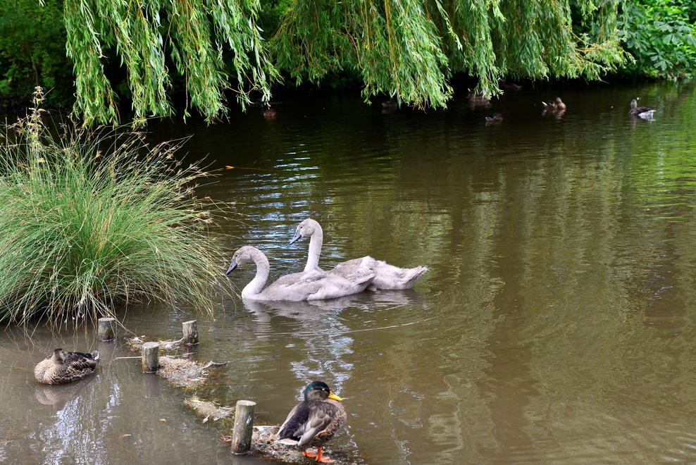 New gallery of wildlife photos | Warwickshire Wildlife Trust