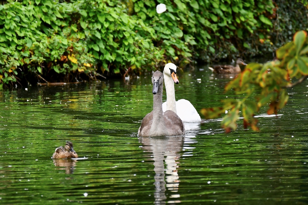 Wildlife photo gallery from readers | Warwickshire Wildlife Trust