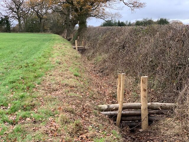 Natural Flood Management | Warwickshire Wildlife Trust