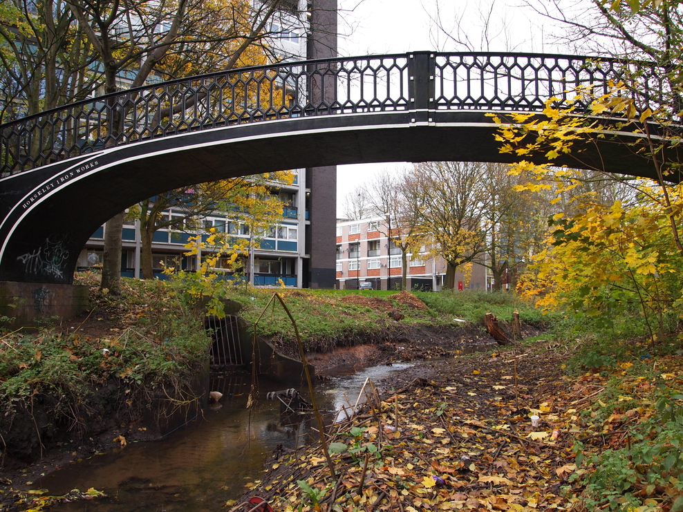 River Sherbourne Valley Living Landscape Brand Development ...