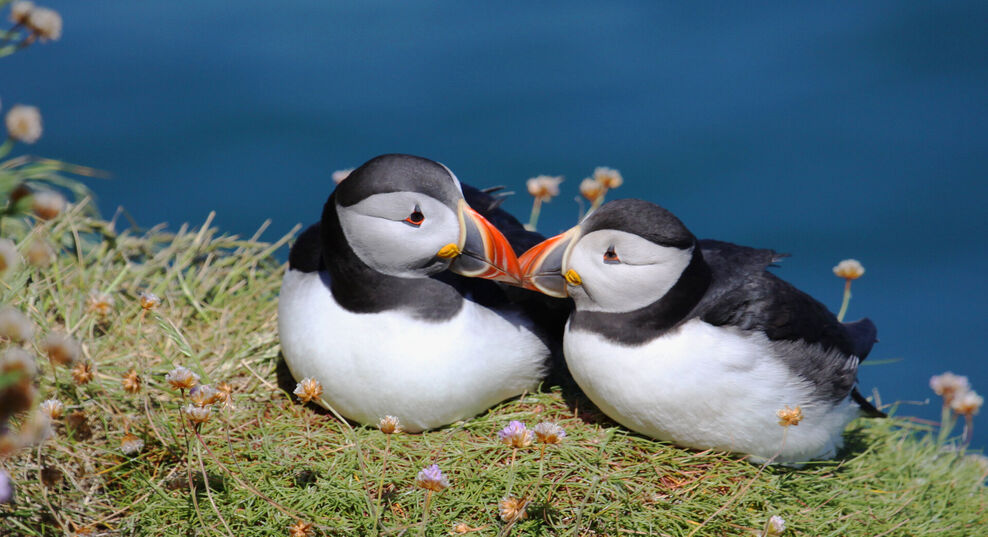 Nature deserves better | Warwickshire Wildlife Trust