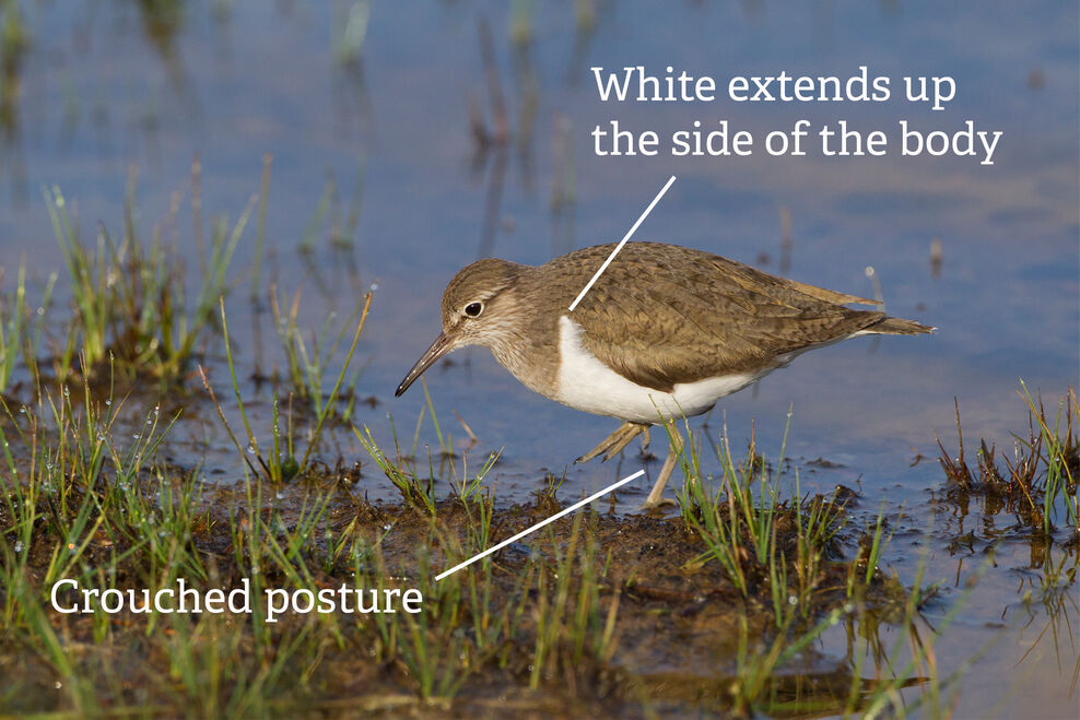 Wading into autumn | Warwickshire Wildlife Trust