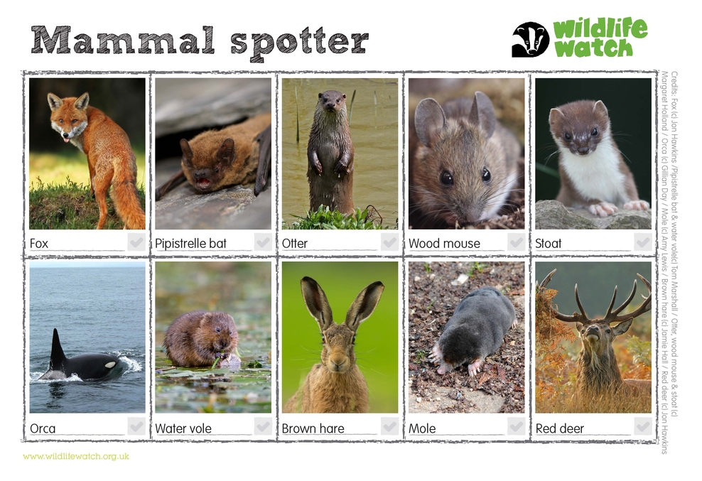 Creature Count | Warwickshire Wildlife Trust