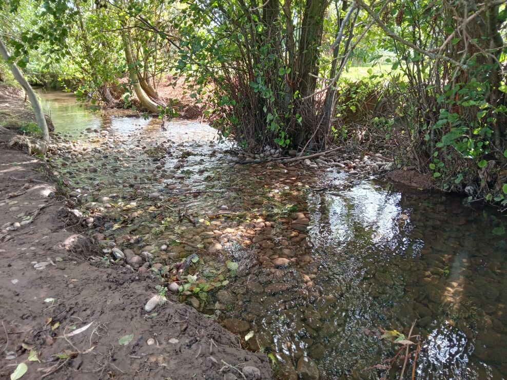 Lake View Park Weir Mitigation | Warwickshire Wildlife Trust