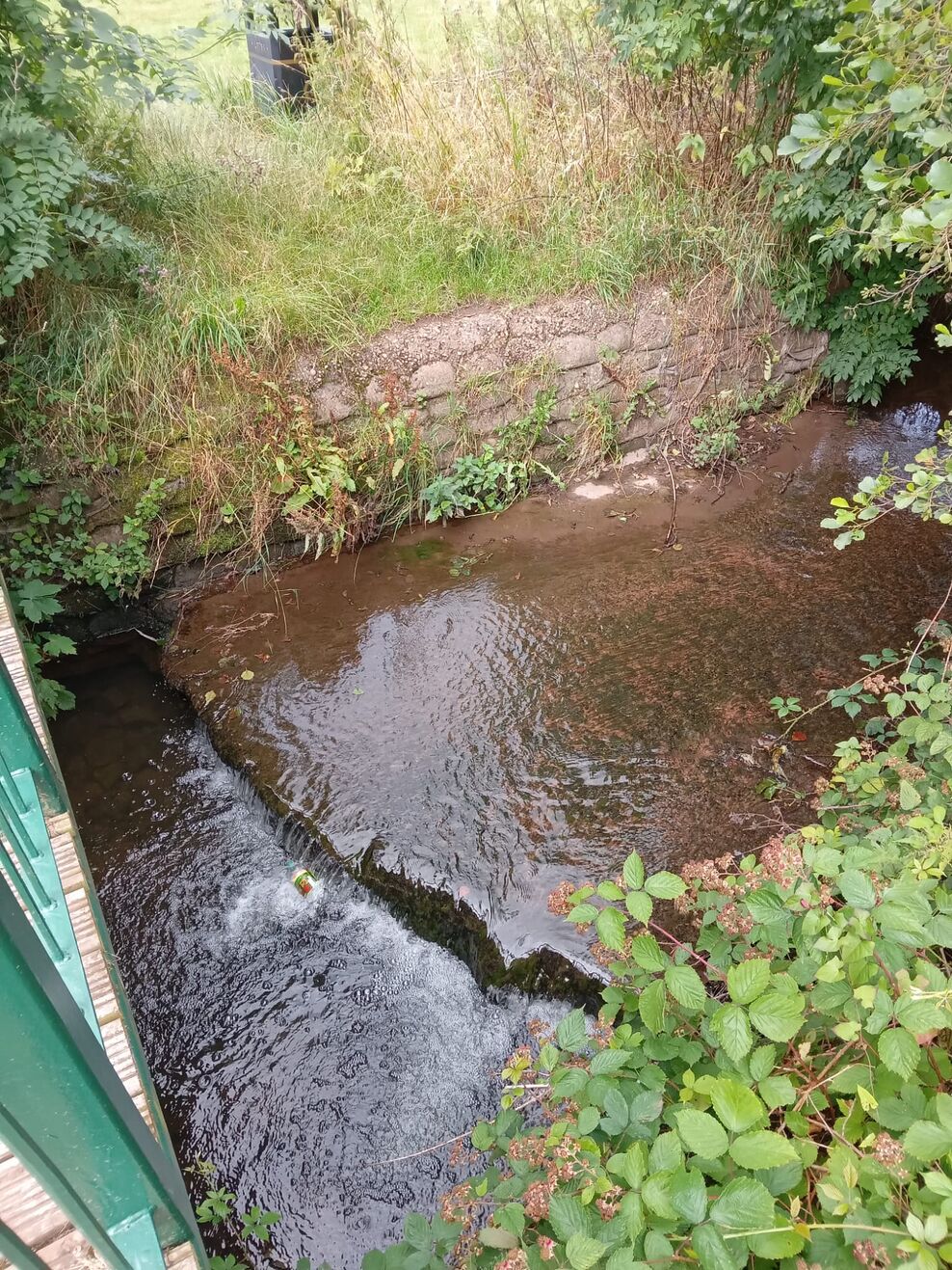 Lake View Park Weir Mitigation | Warwickshire Wildlife Trust