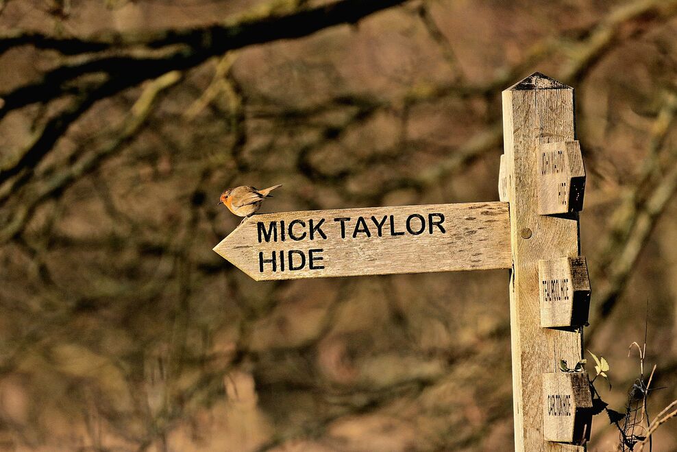 January wildlife gallery | Warwickshire Wildlife Trust