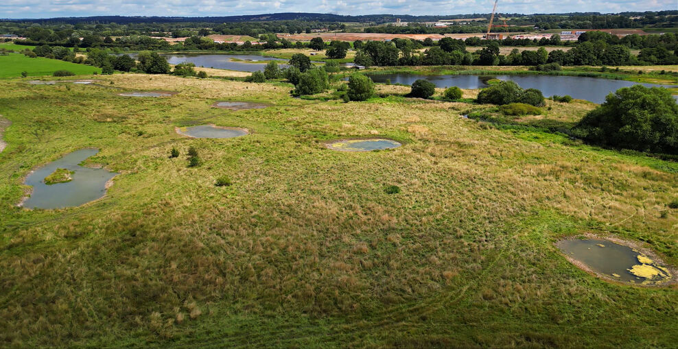 River Restoration at Tame Valley Wetlands | Warwickshire Wildlife Trust