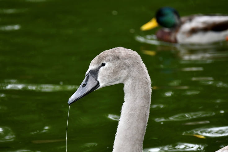 Wildlife photo gallery from readers | Warwickshire Wildlife Trust