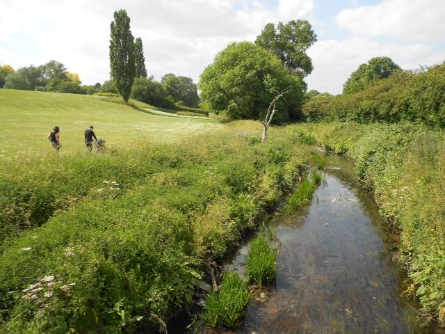 The Sherbourne Valley Project | Warwickshire Wildlife Trust
