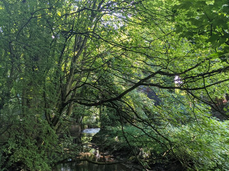 The Sherbourne Valley Project | Warwickshire Wildlife Trust