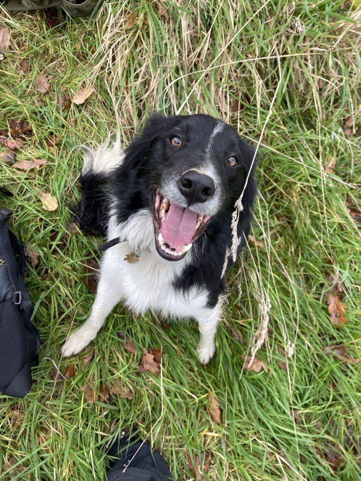 Paws for thought | Warwickshire Wildlife Trust