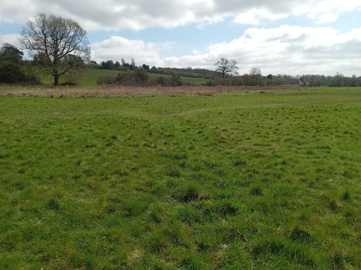 Coundon Wedge Stage Zero River Restoration | Warwickshire Wildlife Trust