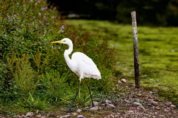 November Wildlife Gallery | Warwickshire Wildlife Trust