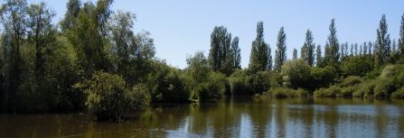 Brandon Marsh Nature Reserve | Warwickshire Wildlife Trust