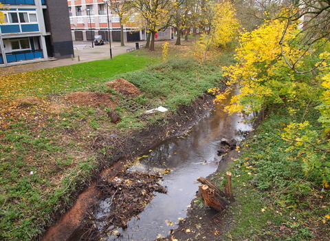River Sherbourne Valley Living Landscape | Warwickshire Wildlife Trust